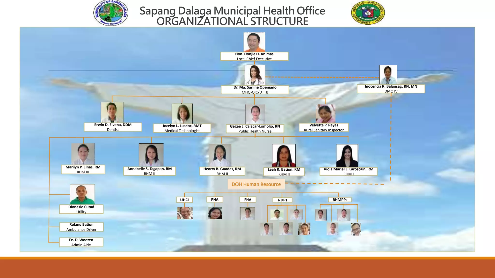 Local Health System Organizational Structure.pptx