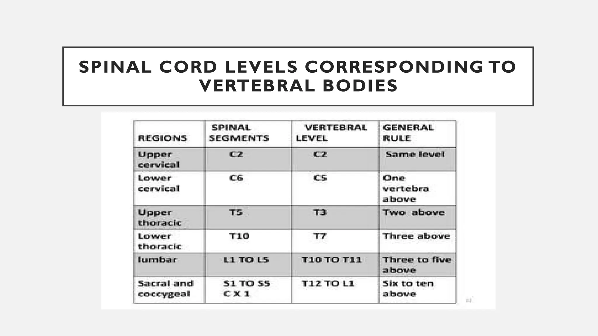 localisation of spinal cord lesions .pptx