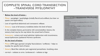 localisation of spinal cord lesions .pptx