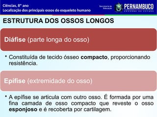 Localização dos principais ossos do esqueleto humano.ppt