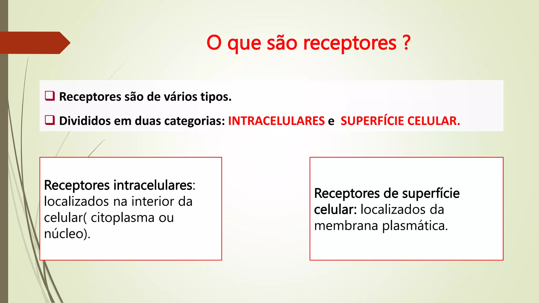 LOCALIZAÇÃO E TIPOS DE RECEPTORES.pptx