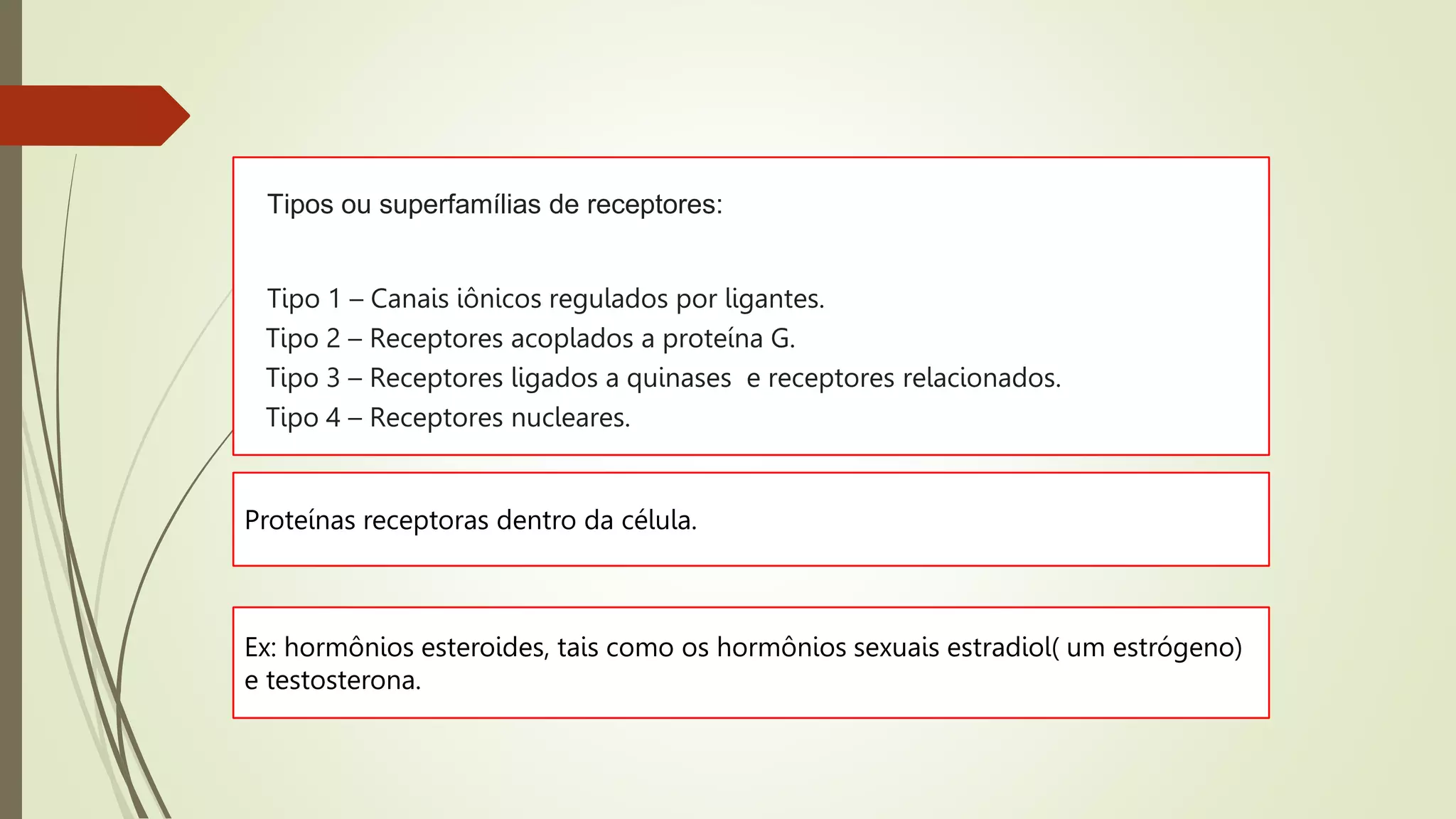 LOCALIZAÇÃO E TIPOS DE RECEPTORES.pptx