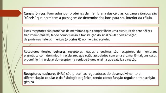 LOCALIZAÇÃO E TIPOS DE RECEPTORES.pptx