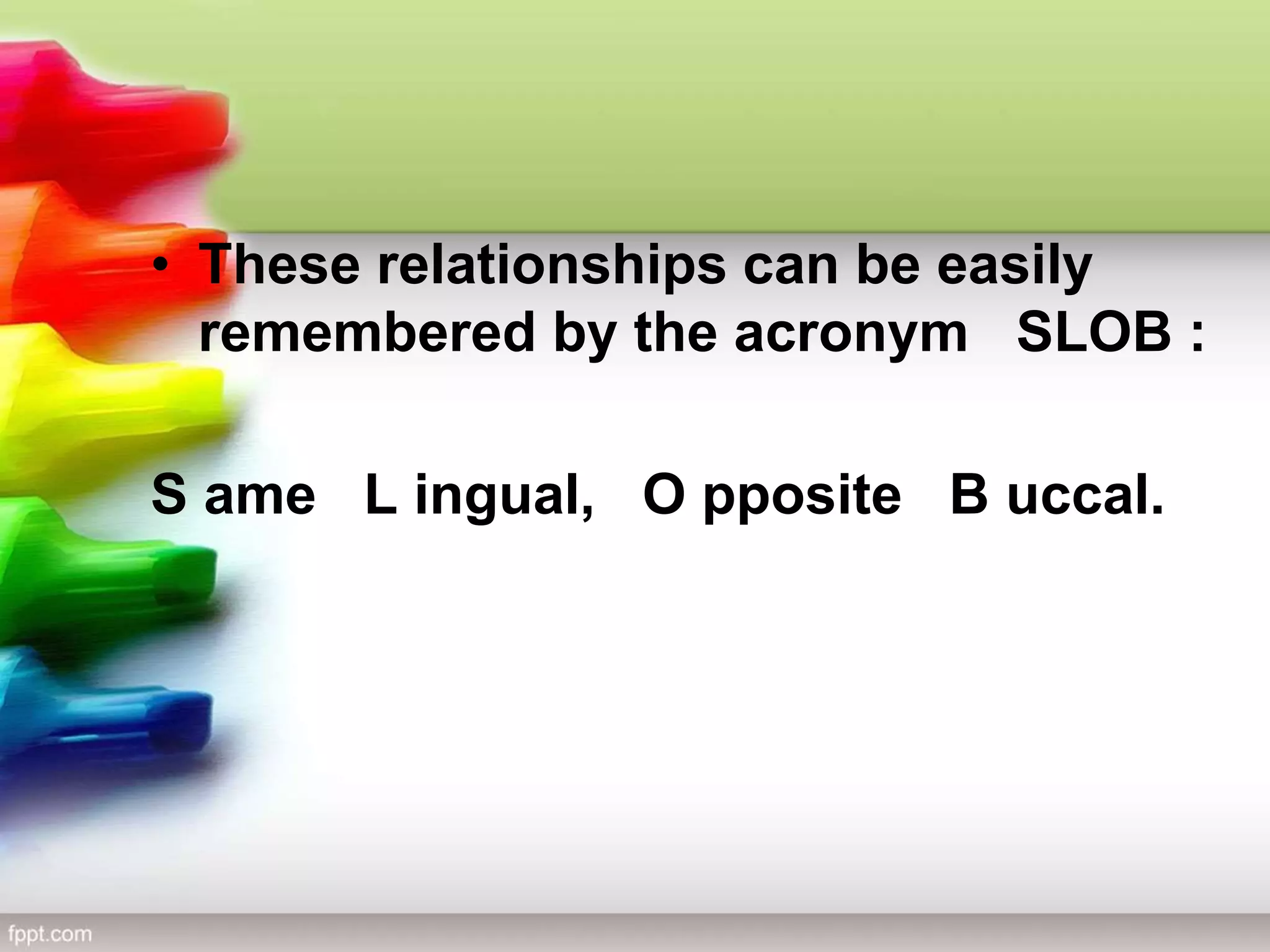 object Localization in intraoral radiographies | PPTX
