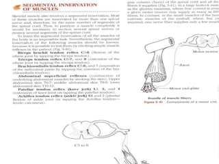 Localization In Clinical Neurology | PPT