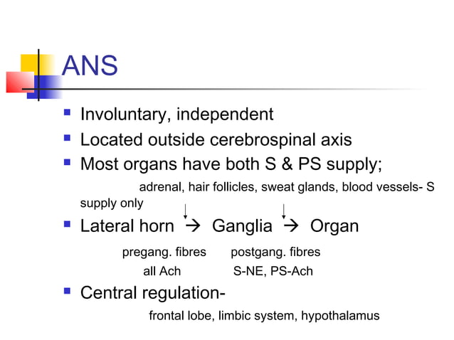Localization in neurology 1 | PPT