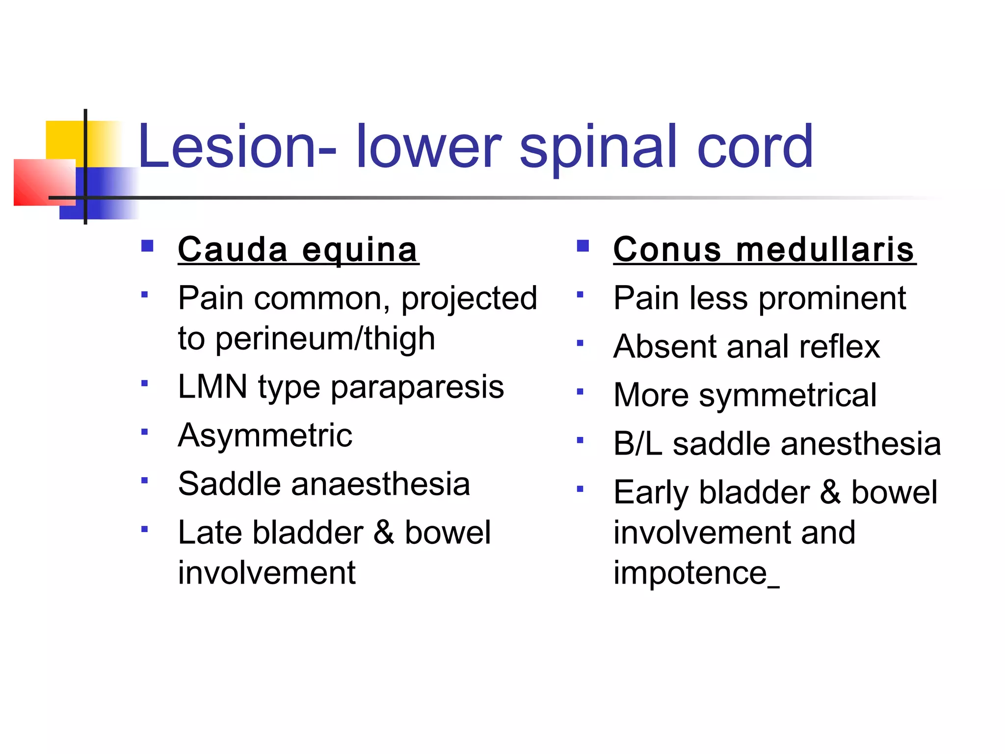 Localization in neurology 2 | PPT