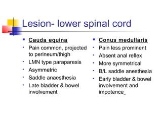 Localization in neurology 2 | PPT