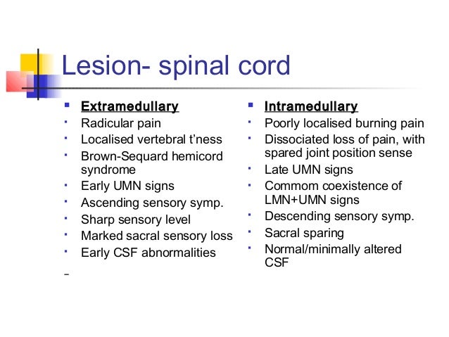 Localization in neurology 2