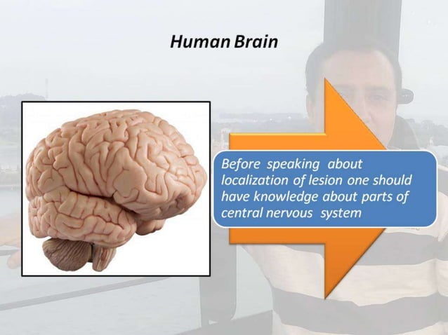 Localization of brain lesion by Prof Dr Bashir Ahmed Dar Sopore Kashmir ...