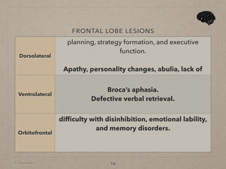 Localization of cerebrum lesions | PDF
