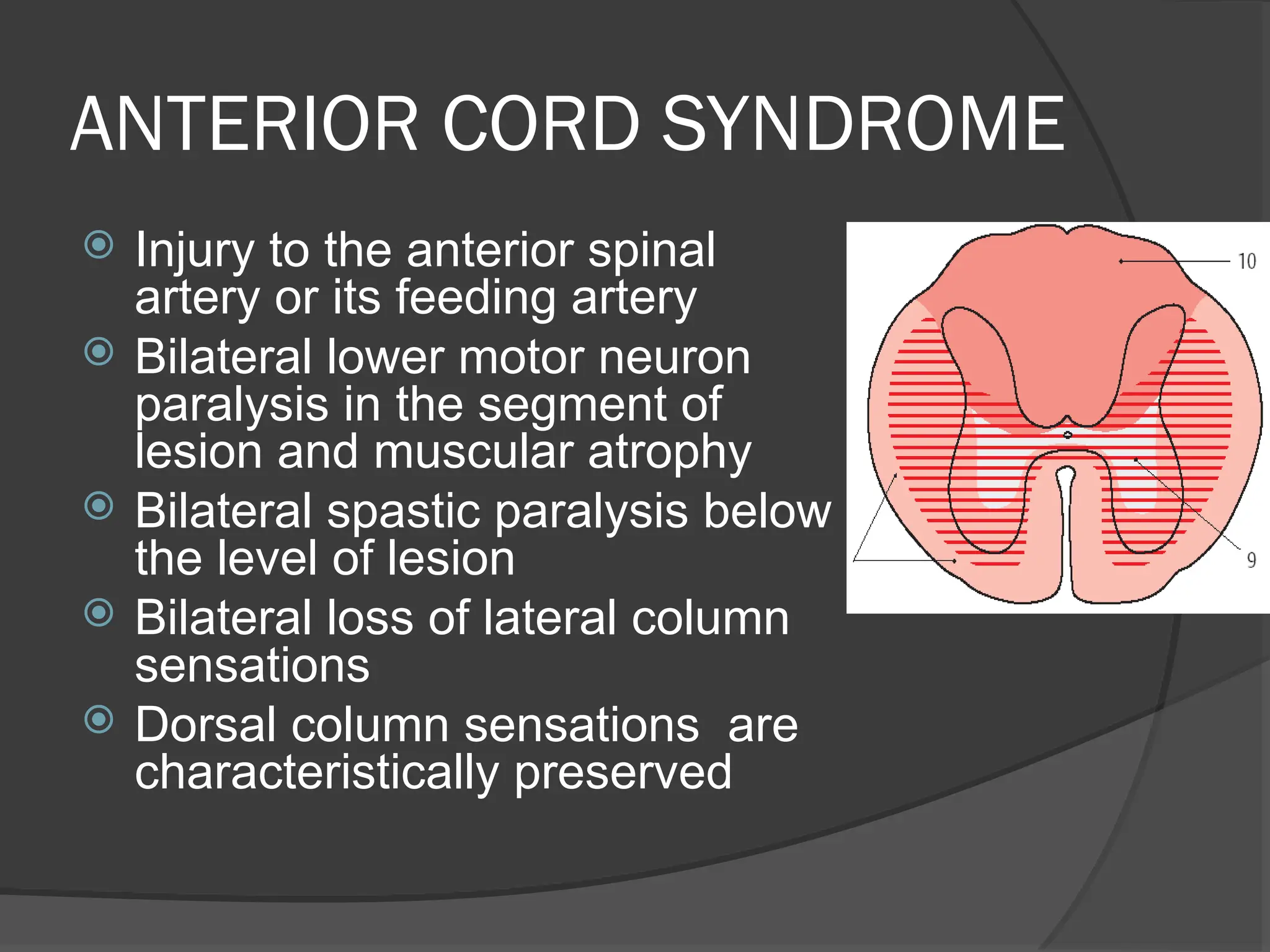 LOCALIZATION OFCENTRAL NERVOUS SYSTEM LESIONS | PPT