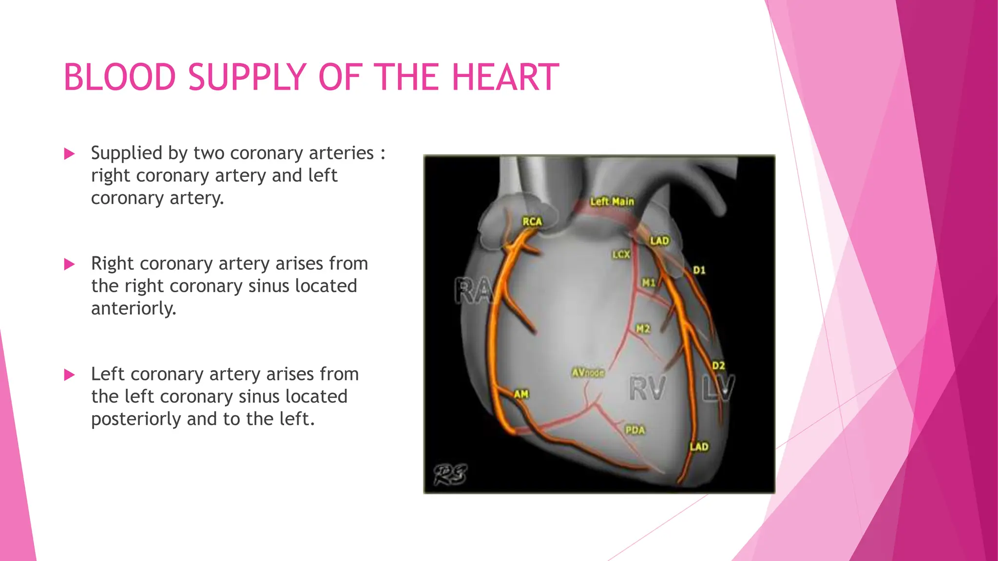 LOCALIZATION OF CULPRIT ARTERY IN MI.pptx