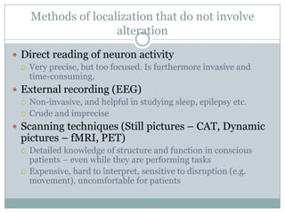 Localization of function psychology IB | PPTX