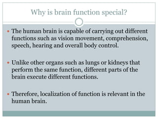 Localization of function psychology IB | PPTX