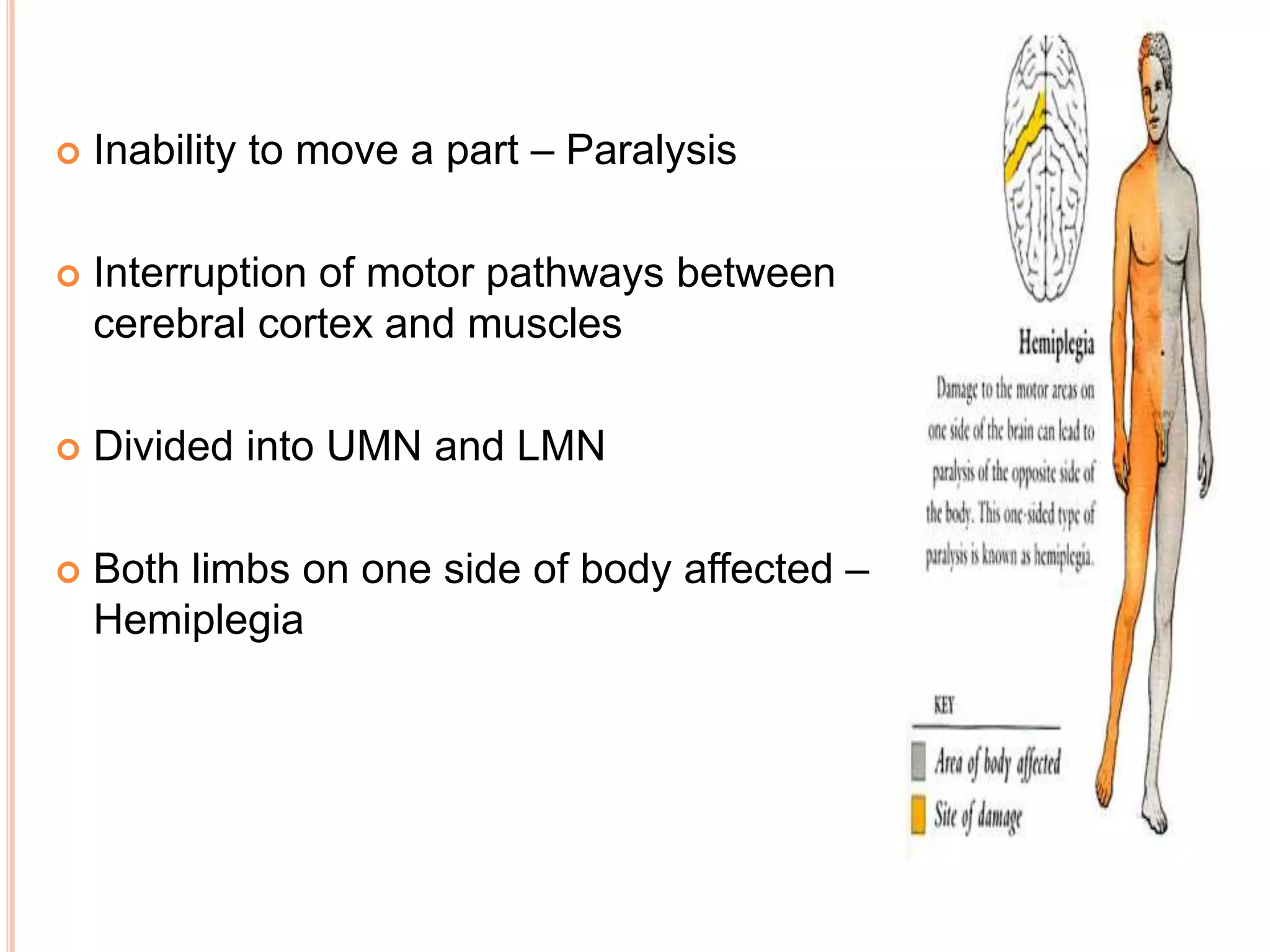 Localization of lesion in hemiplegia | PPTX