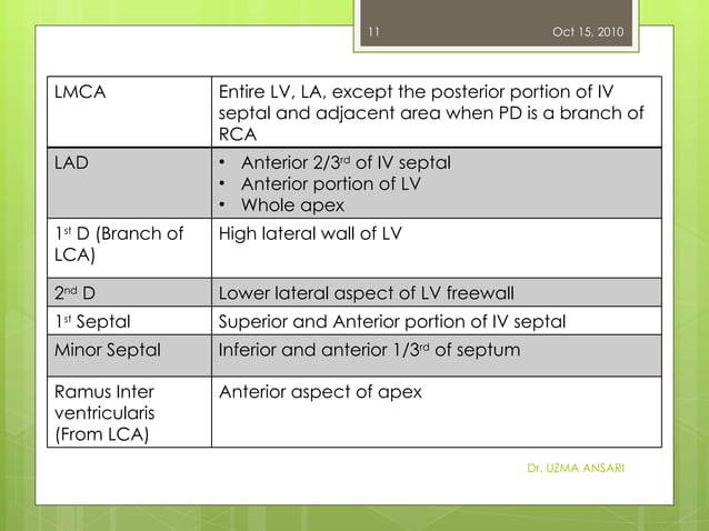 Localization of MI on ECG | PPT | Heart and Cardiovascular Diseases ...