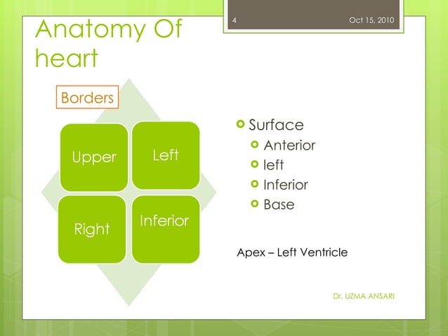 Localization of MI on ECG | PPT | Heart and Cardiovascular Diseases ...
