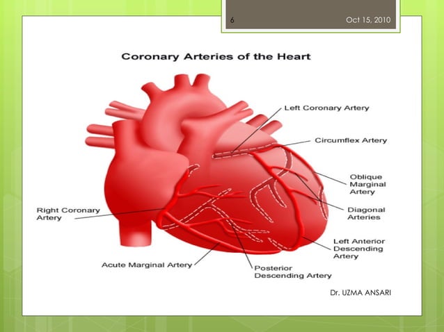 Localization of MI on ECG | PPT | Heart and Cardiovascular Diseases ...