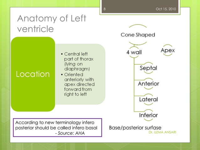Localization of MI on ECG | PPT | Heart and Cardiovascular Diseases ...