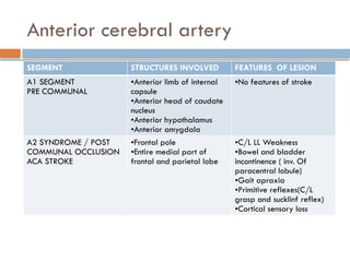 Localization of stroke powerpoint presentation | PPT