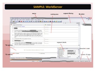 Process, Tool, Localization, Successful | PDF