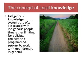 Local Knowledge | PPT