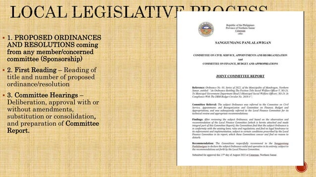 LOCAL LEGISLATION plan.pptx | Law