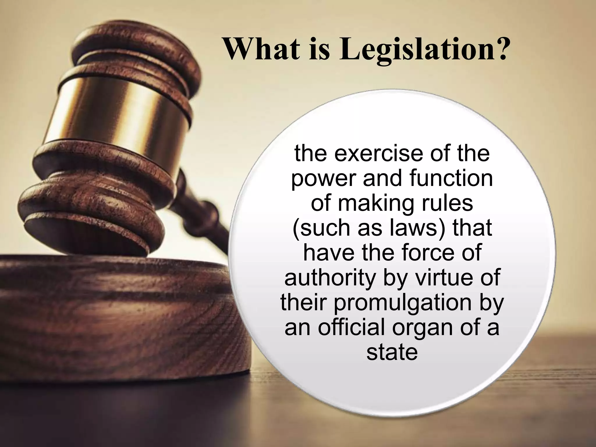 Local Legislative Process | PPTX