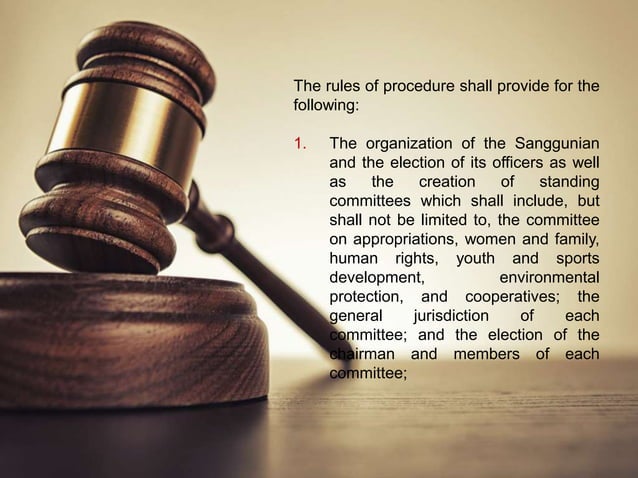 Local Legislative Process | PPTX