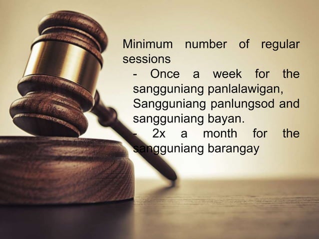 Local Legislative Process | PPTX