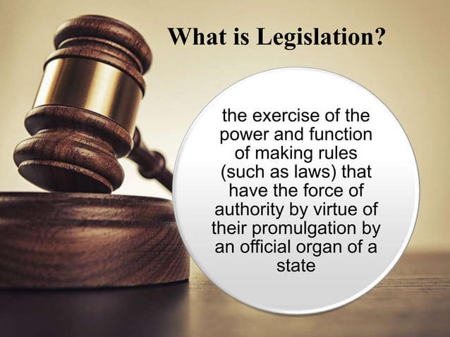 Local Legislative Process | PPTX