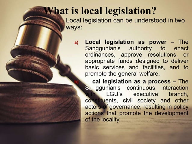 Local Legislative Process | PPTX
