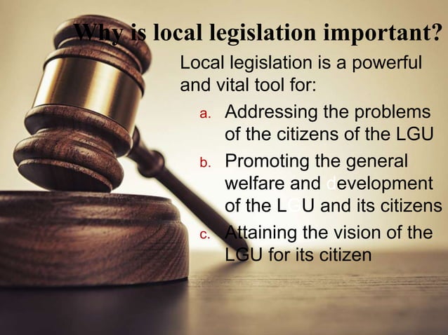 Local Legislative Process | PPTX