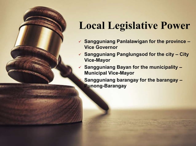 Local Legislative Process | PPTX