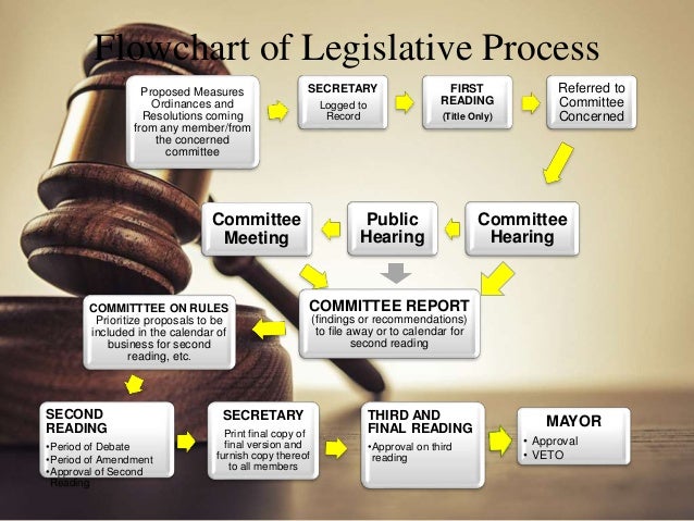Legislative Process Diagram