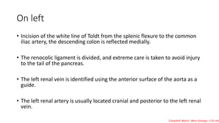 Locally advanced renal cell carcinoma RCC | PPTX