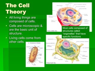 Cell | PPT