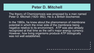 local_media1628959799516009812.pptx