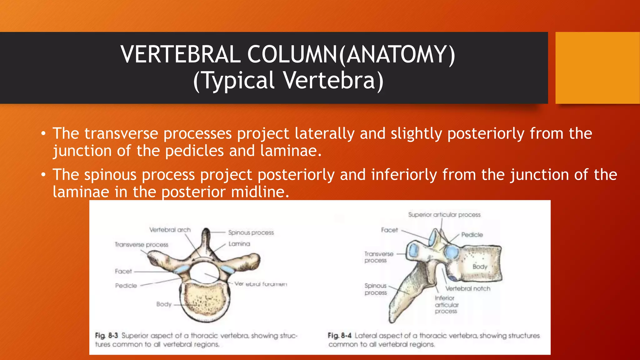 local_media3407501801525169856.pptx