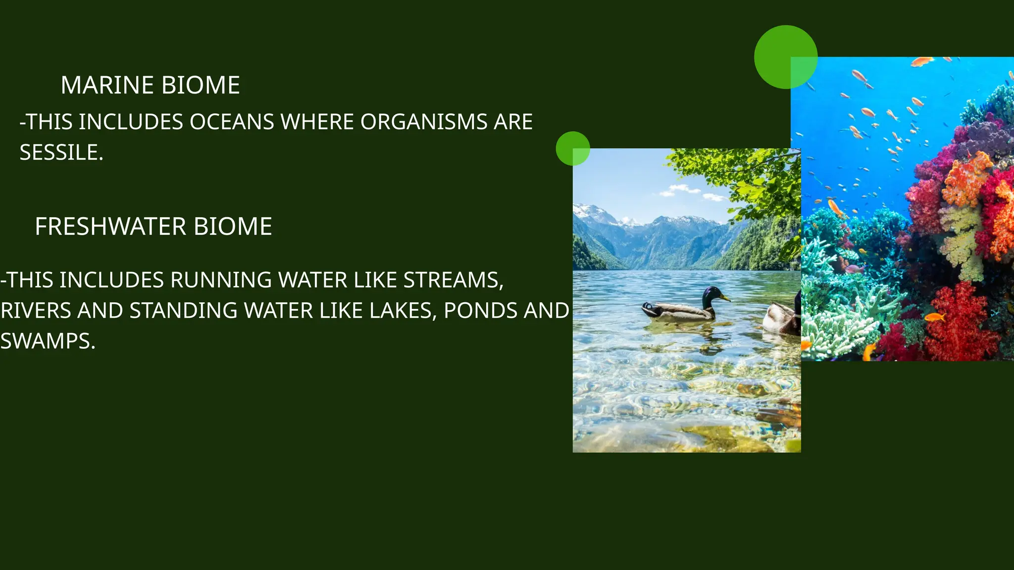 local_media4135135094ecosytem qq1q3.pptx