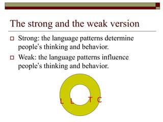 local_media5692918823858220449.ppt