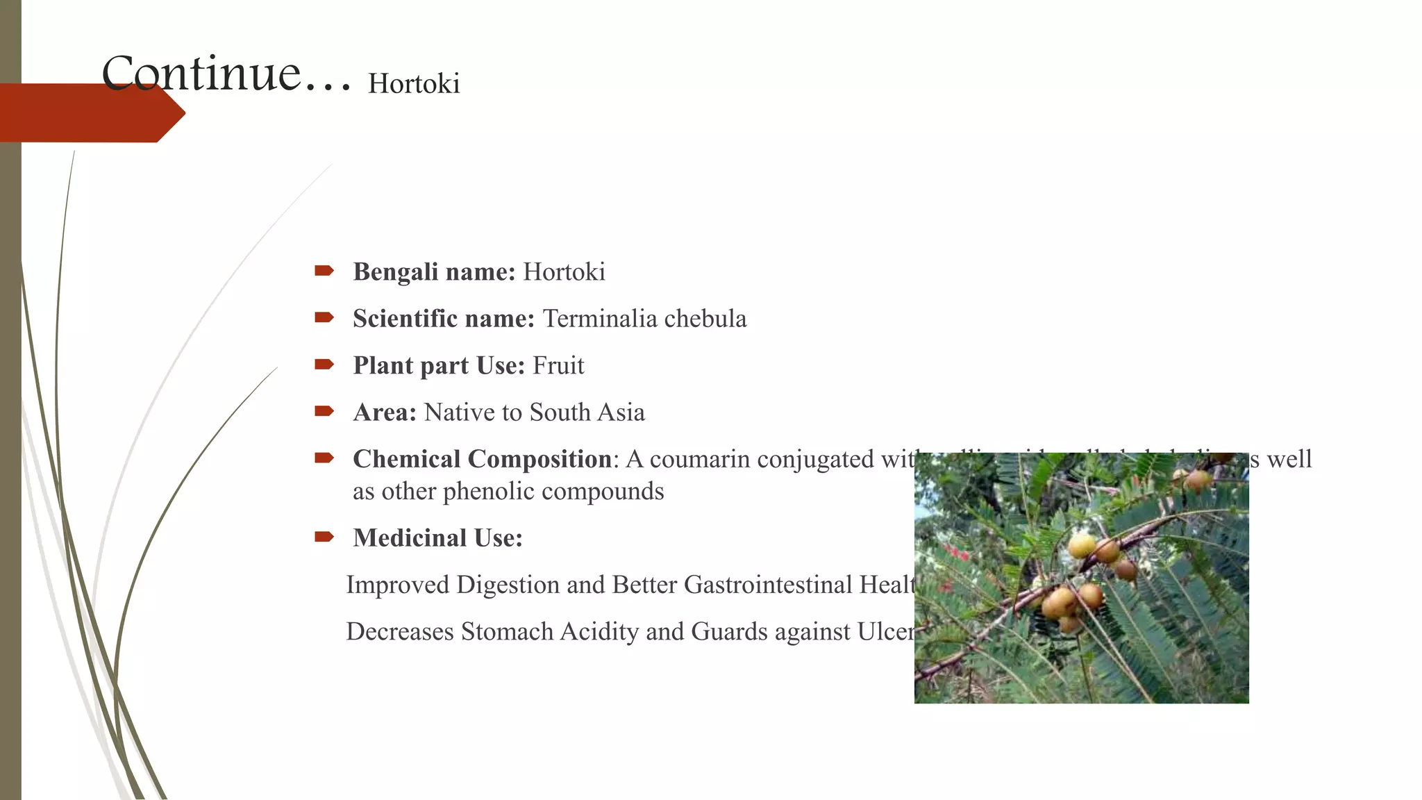 Local medicinal plant | PPTX