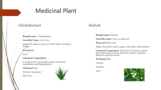 Local medicinal plant | PPTX