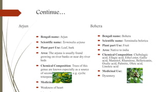 Local medicinal plant | PPTX