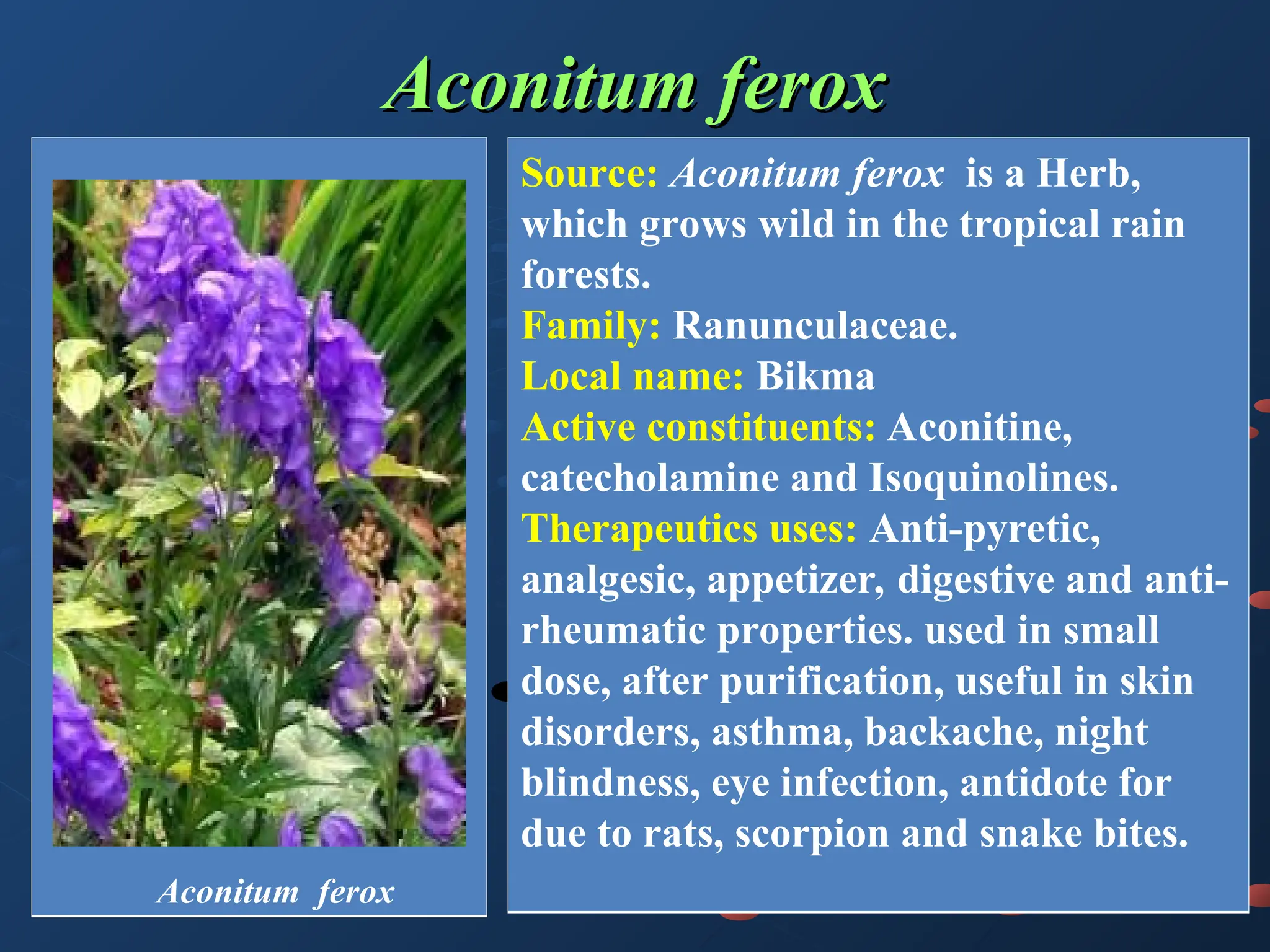 LOCAL MEDICINAL PLANTS FOUND IN SIKKIM HIMALAYA | PPT