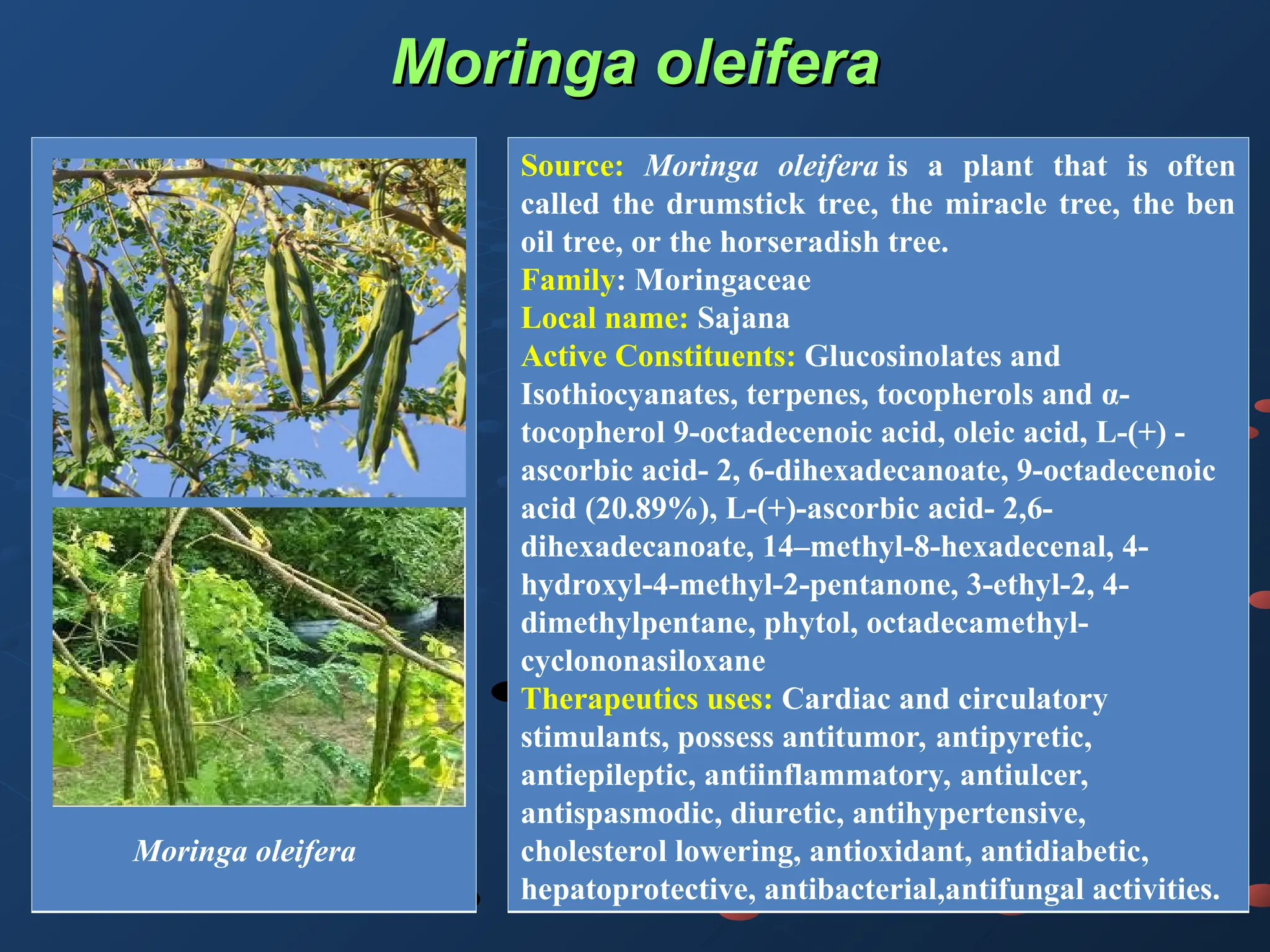 LOCAL MEDICINAL PLANTS FOUND IN SIKKIM HIMALAYA | PPT