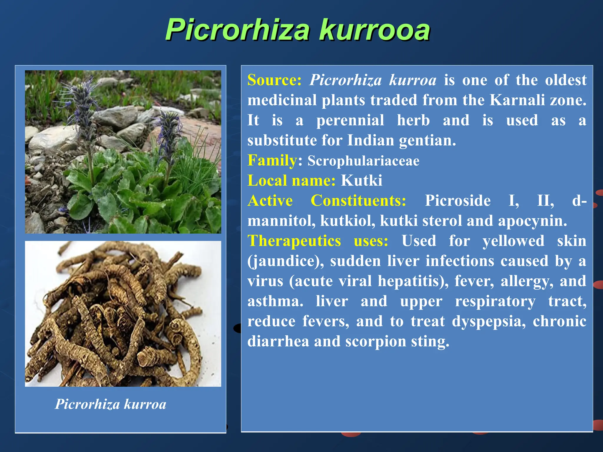 LOCAL MEDICINAL PLANTS FOUND IN SIKKIM HIMALAYA | PPT