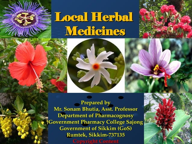 LOCAL MEDICINAL PLANTS FOUND IN SIKKIM HIMALAYA | PPT
