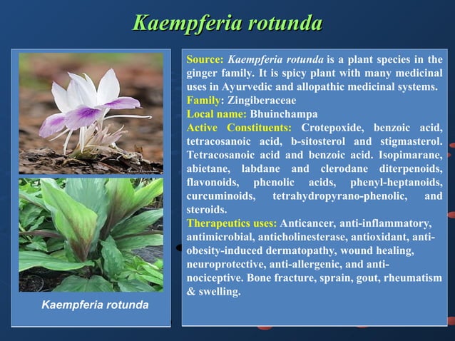 LOCAL MEDICINAL PLANTS FOUND IN SIKKIM HIMALAYA | PPT